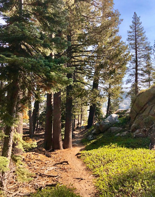 Emigrant Wilderness – Hyatt Lake to Yellowhammer Lake | Destination ...